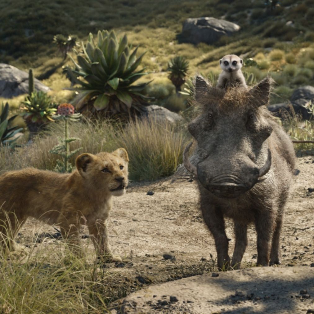 O Rei Leão: remake digital vai ganhar continuação com diretor de Moonlight