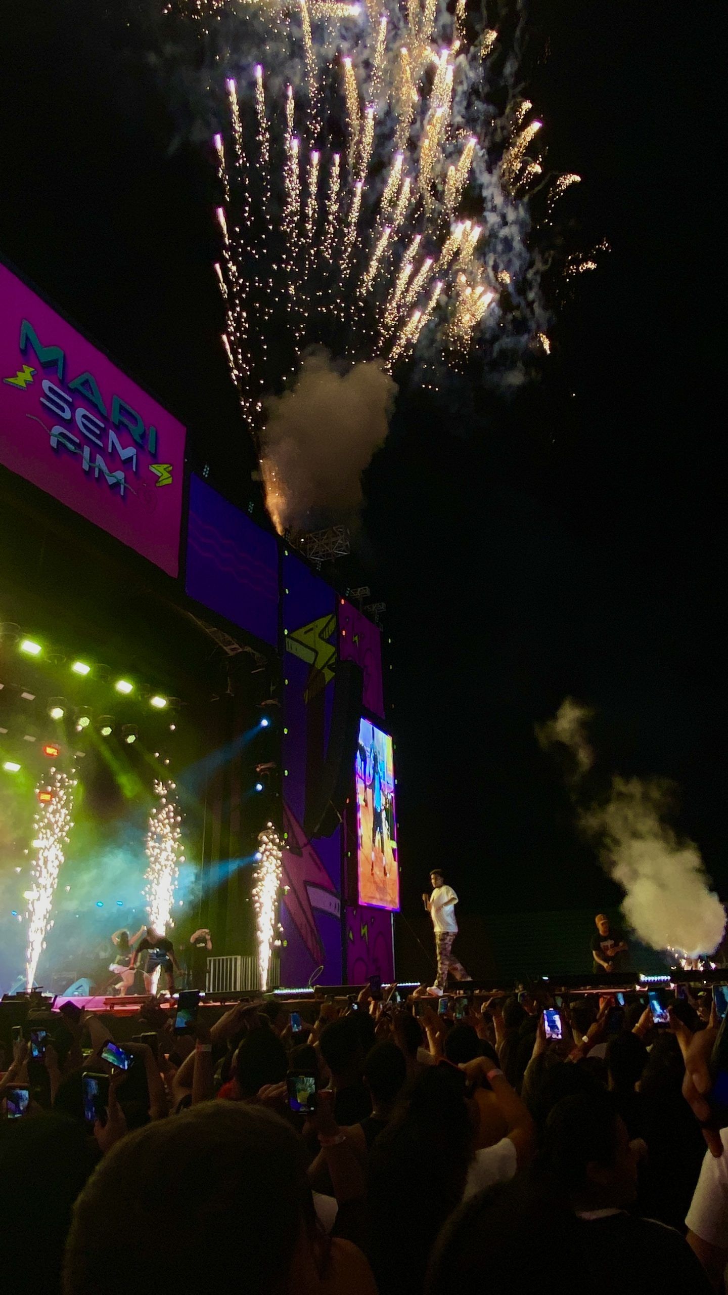 ‘Mari sem fim’ festa de grande sucesso em Manaus